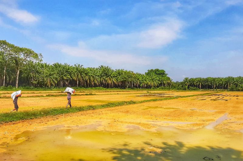 Portal Rasmi Jabatan Pertanian Negeri Pahang - Berita Terkini